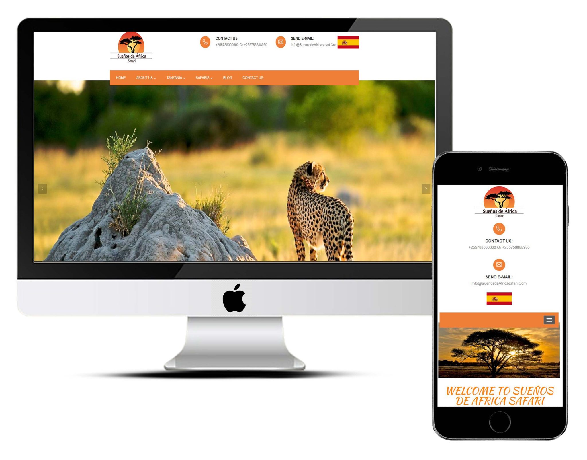 Website Design Company in Arusha - Arusha Website Design